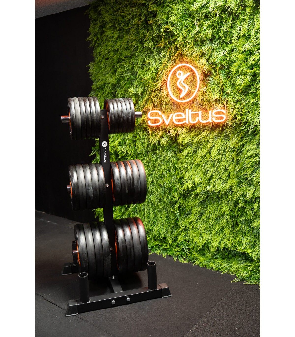 Olympic plates and bars rack