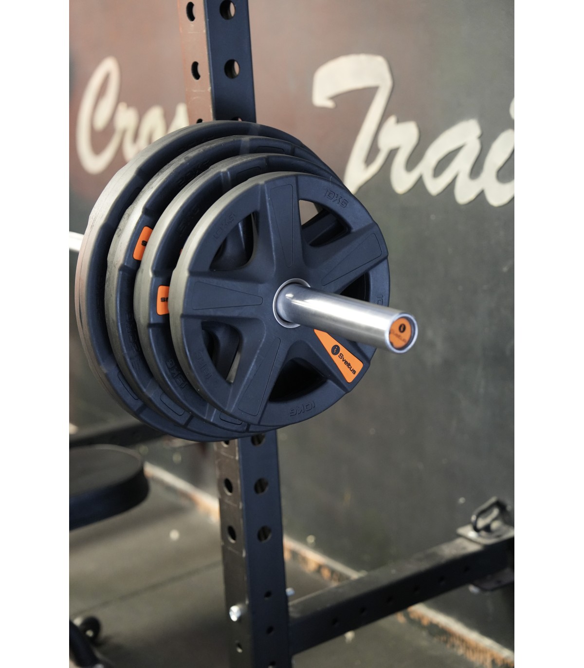 Disc Olympics Wheel Sveltus - Designer weight range for bodybuilding ...