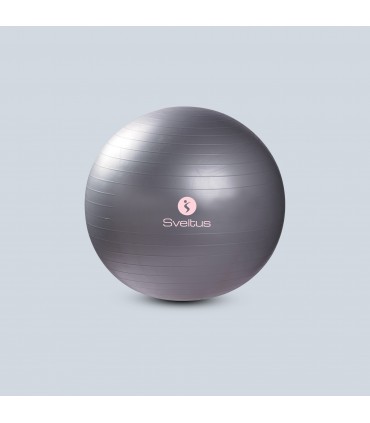 Gymball Gymball 65cm grey